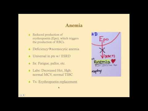 Chronic Kidney Disease - CRASH! Medical Review Series