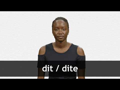 English Translation of “DIT” | Collins French-English Dictionary
