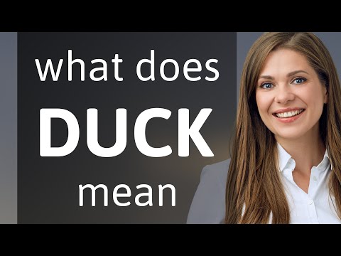 Duck | what is DUCK definition