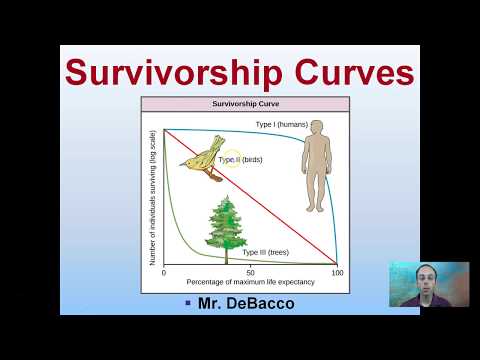Survivorship Curves