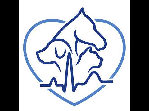 1: Feline cardiomyopathy pt1 - approach to suspected heart disease in asymptomatic cats