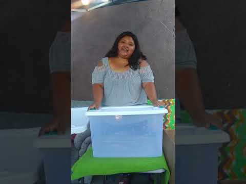 Sterilite 64 quart latching box review 2020