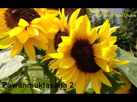 Pawanmuktasana 2 - Deutsch - Hatha Yoga