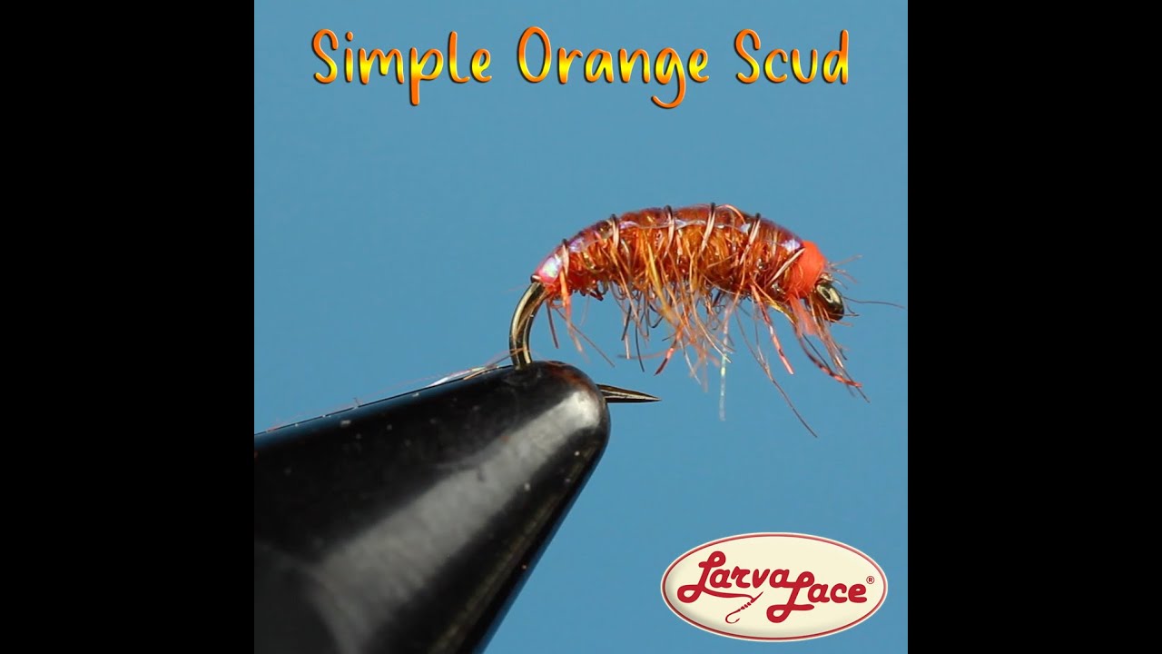 Fly Tying a simple scud pattern with a DIY twist! Larva Lace Fly Tying Tutorial Simple Orange Scud