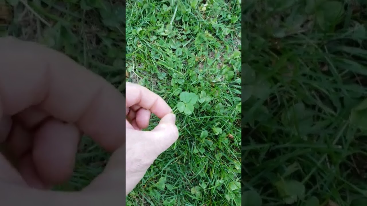 October 13, 2022.  Good Luck!  #inspiration #goodluck #lucky