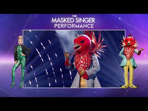 Masked Singer Random Oneshots - Bobbin' Robin (Robin X Rita) - Wattpad