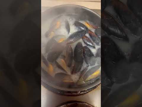 Mussels Boil You Say