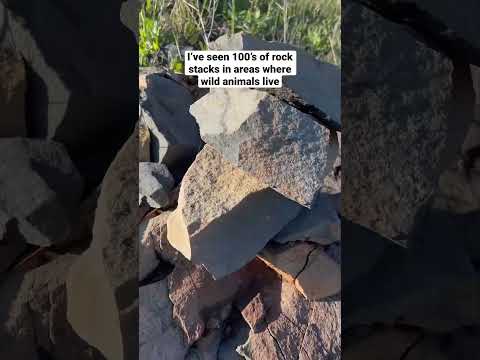 The problem with stacking rocks - how rock stacks effect wildlife #rockstackin #nature #shorts