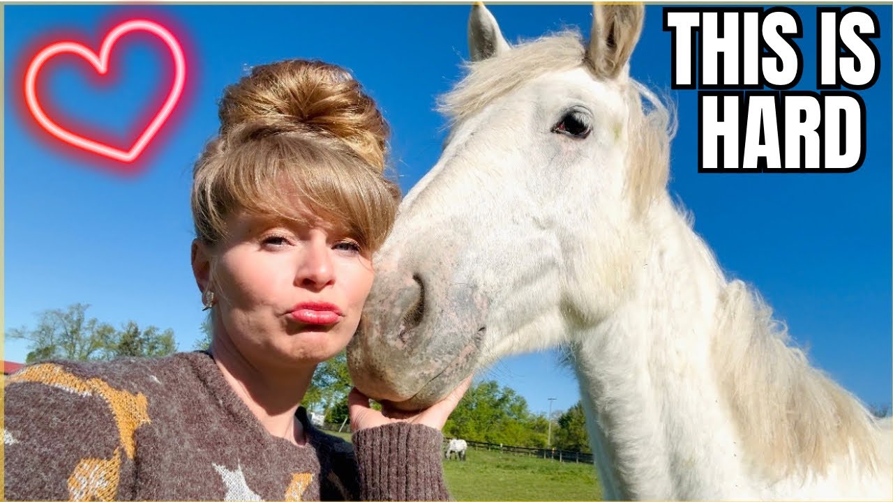 I HAVE TO SELL 1 OR 2 HORSES…