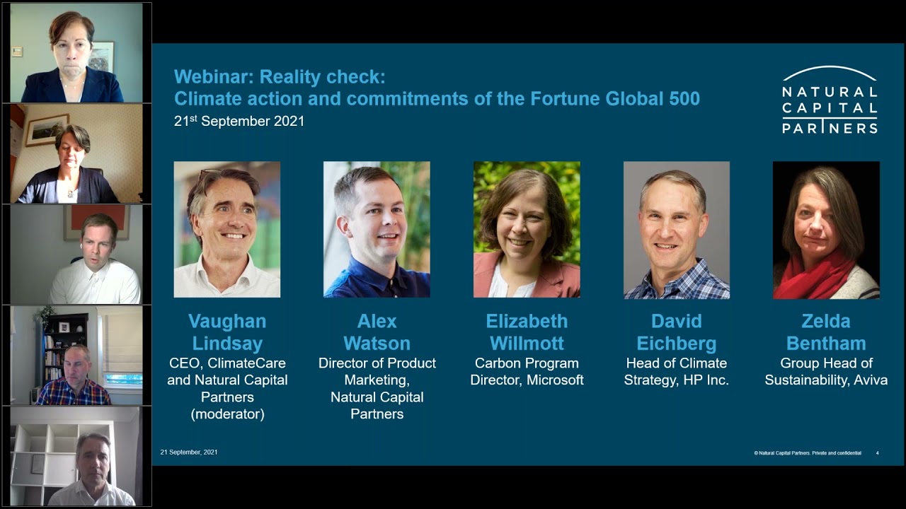 Reality check: climate action and commitments of the Fortune Global 500