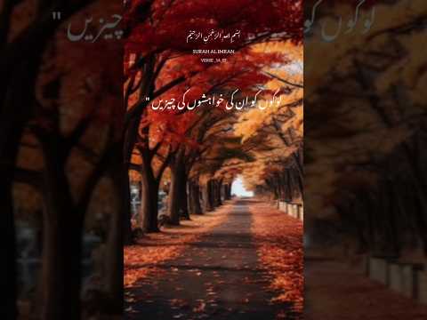 Surah Al-Imran || Urdu translation ✨|| Quran recitation || #duet #surahimran #islamic #1mviews