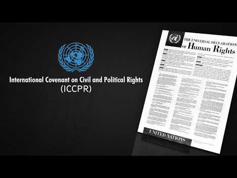 What is Freedom of Expression? | Global Peace & Unity for Humanity