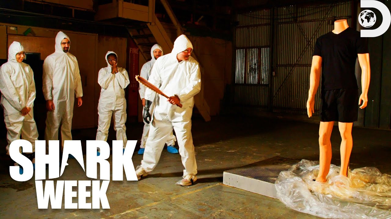 Testing Shark Tooth Weapons | Deadliest Bite | Shark Week