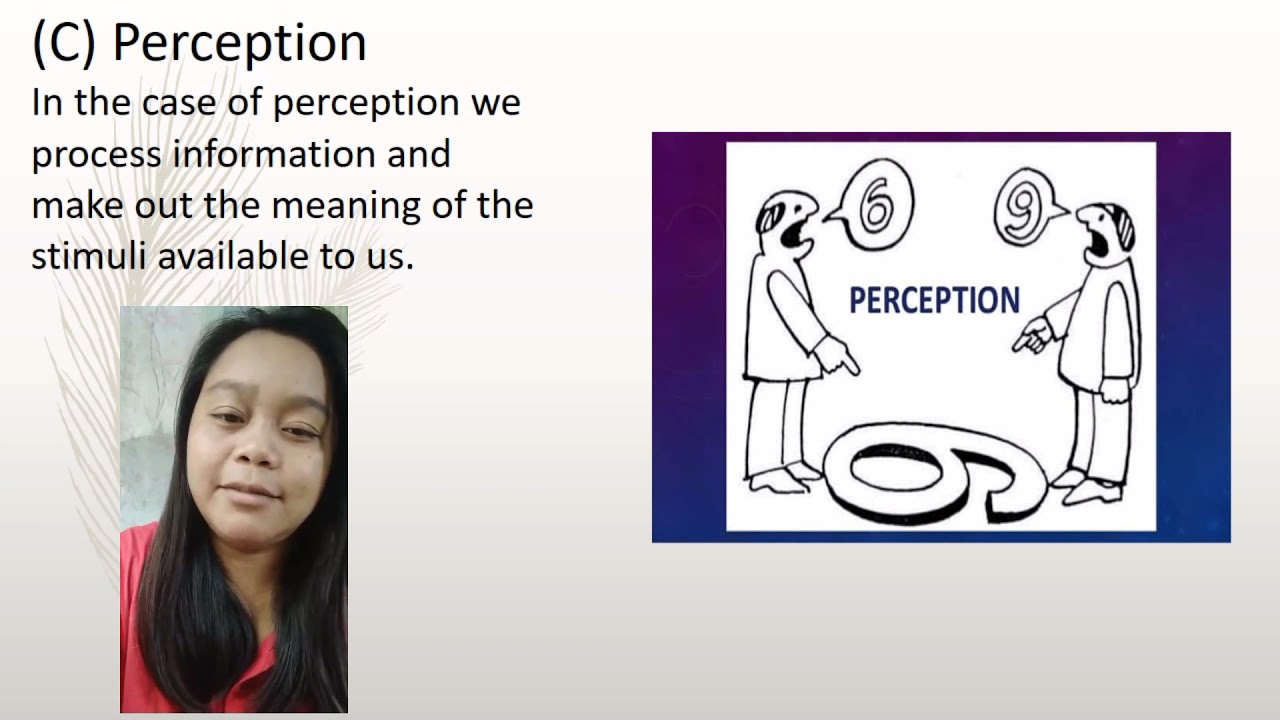 PBC: Basic Psychological Processes
