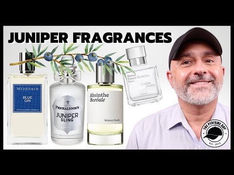 Ice Cold JUNIPER, JUNIPER BERRY + GIN FRAGRANCES | Fresh, Crisp, Aromatic Juniper Fragrances