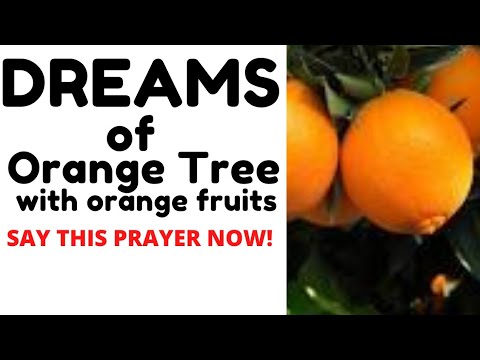 DREAMS OF ORANGE TREE with ORANGE FRUITS | PRAYERS WHEN YOU SEE ORANGE FRUITS IN DREAM | Dream means