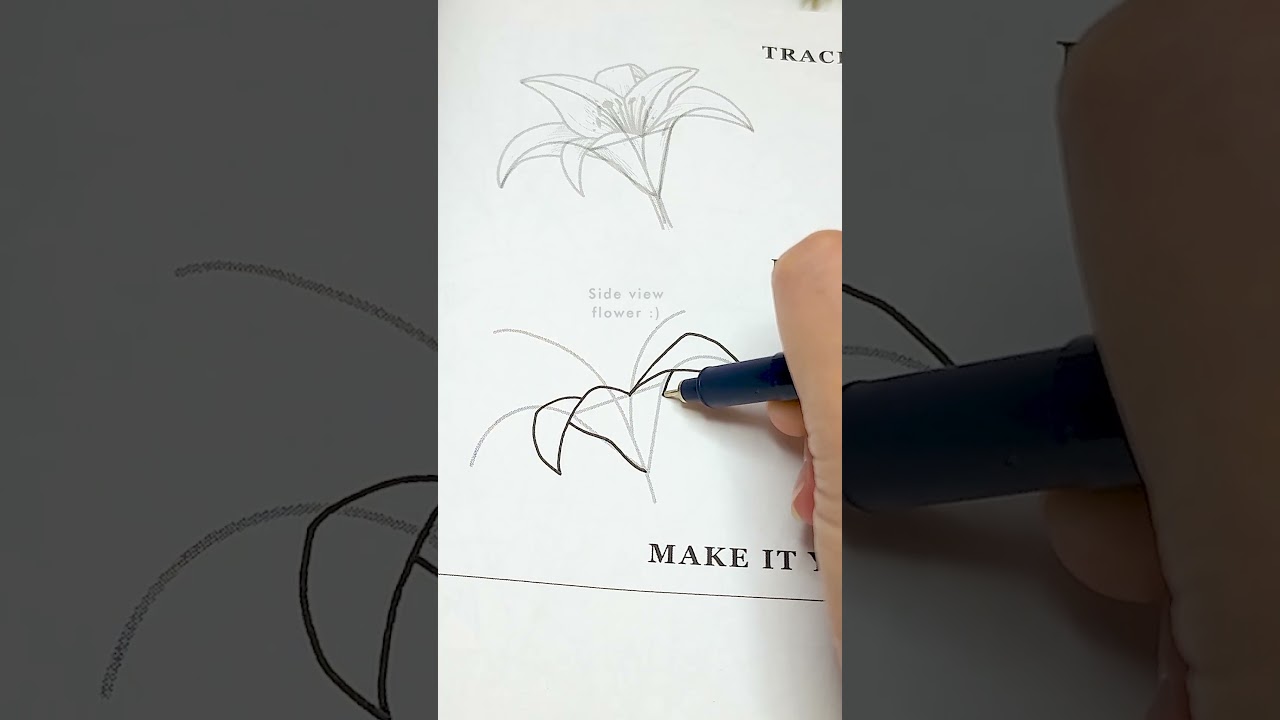 A side view lily drawing ✨ This one is so effective for a beginner 🥰