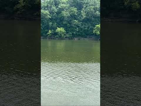 Pictures of the Cumberland river from Nashville gun club