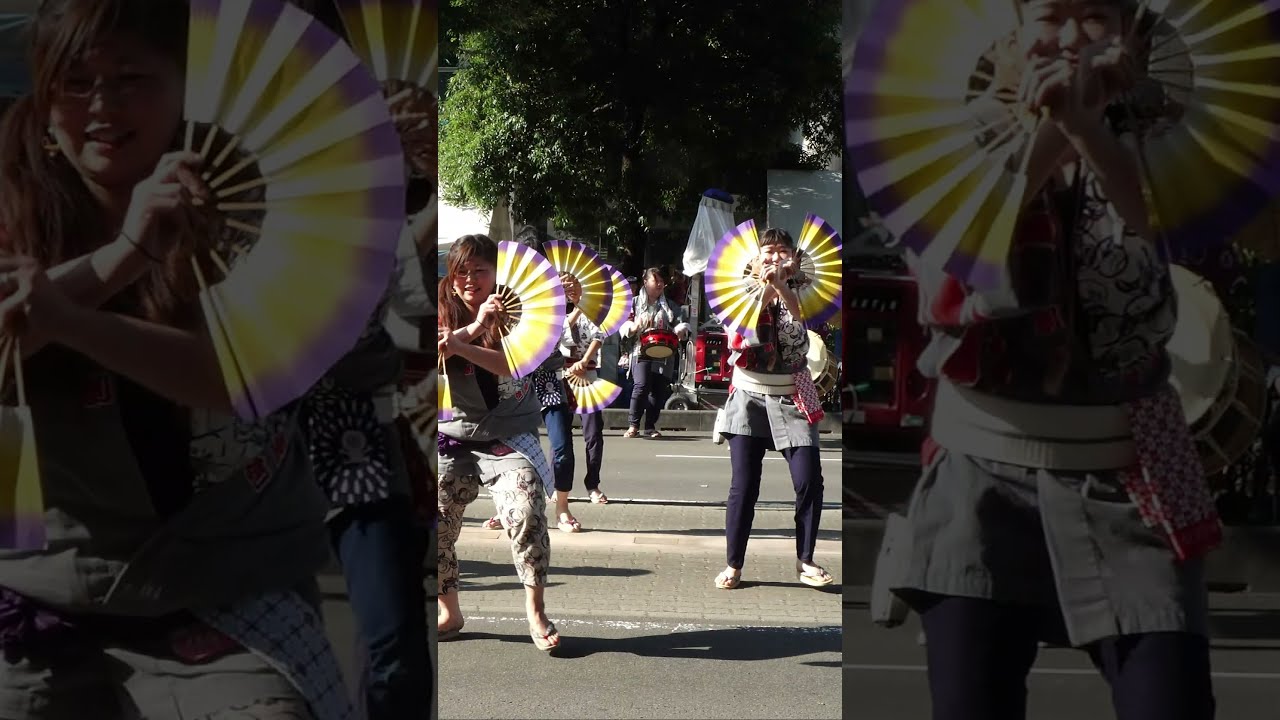 Japanese Style Dance Collection No.15838