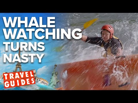 The Fren family get 'totally dumped' while kayaking in Byron Bay | Travel Guides 2021