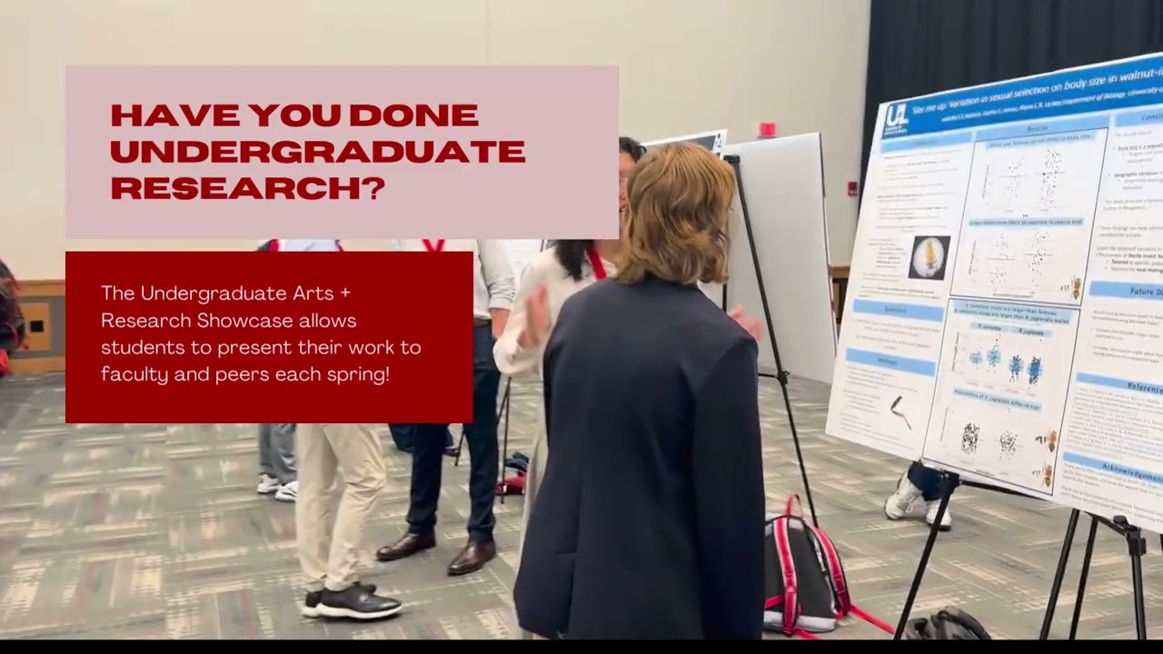 Undergraduate Arts + Research Showcase