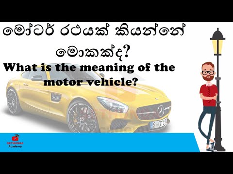 what is the meaning of the motor vehicle ?