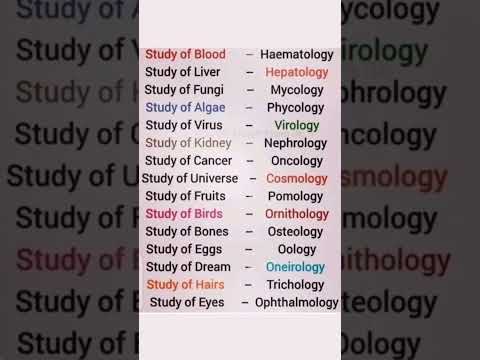 Types of study meaning
