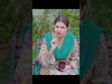 Bulbulay Season 2 Episode 290 Shorts ARY Digital Bulbulay Shorts HD