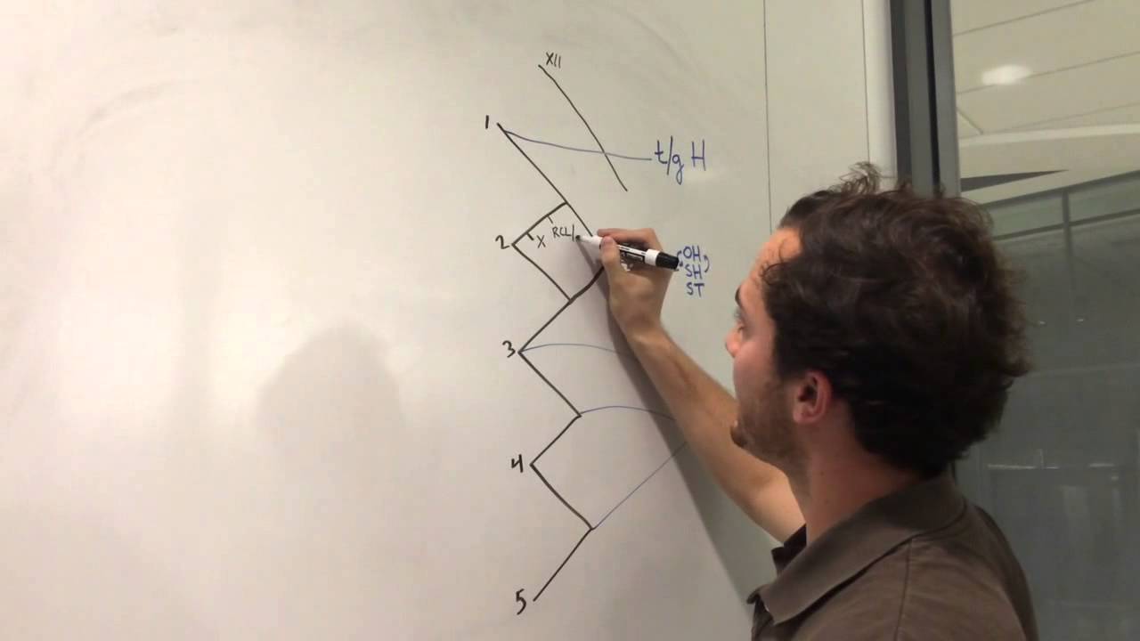 Cervical Plexus Drawing SO GOOD!!!