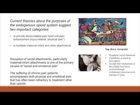 Chemistry and Psychiatry of Tapering - Jane Ballentyne, MD