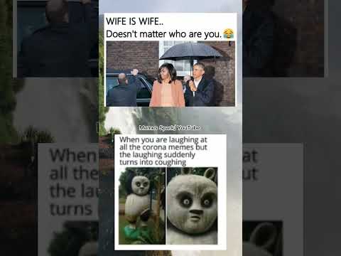 wife is wife! 😂 #meme #memesvideo #funnymemes