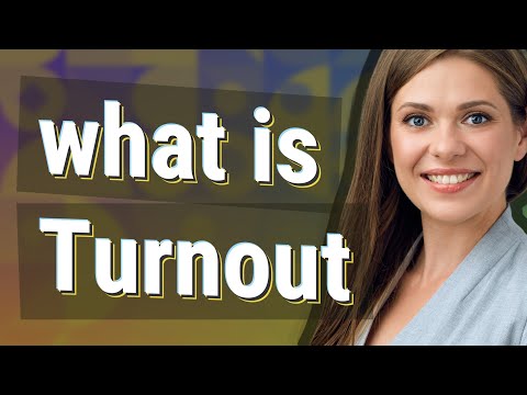Turnout | meaning of Turnout