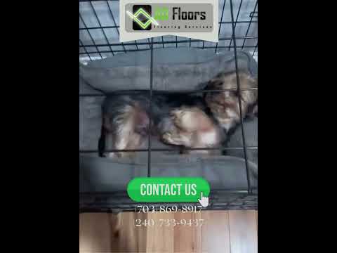 Flooring contractor in Maryland - AD Floors LLC in Maryland