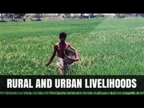 Rural and Urban Livelihoods - Political Science Class 6 Video Lecture