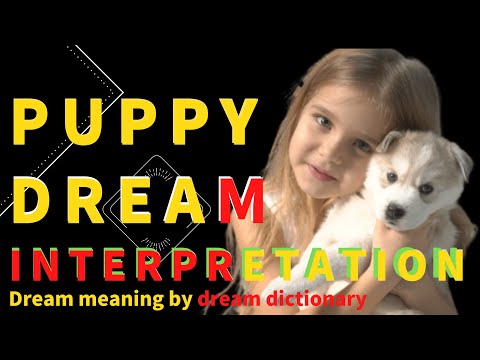 Dream about Puppy: What do dreams about puppies mean? Puppy dream interpretation.