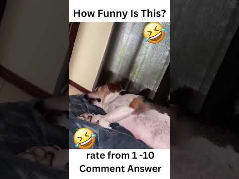 The end 😂😂😂 #shorts #comedy #funny #fails #humor