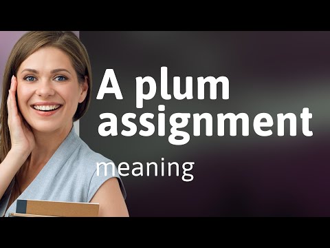Understanding "A Plum Assignment" - Unlock the Meaning in English