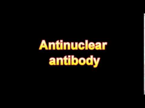 What Is The Definition Of Antinuclear antibody Medical Dictionary Free Online