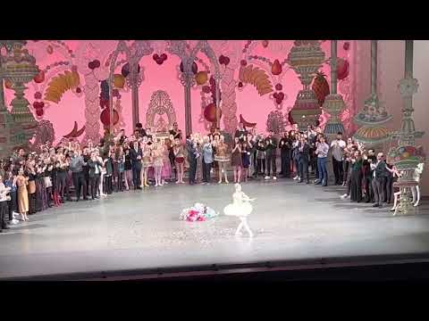NYC Ballet Nutcracker Sterling Hyltin Retirement