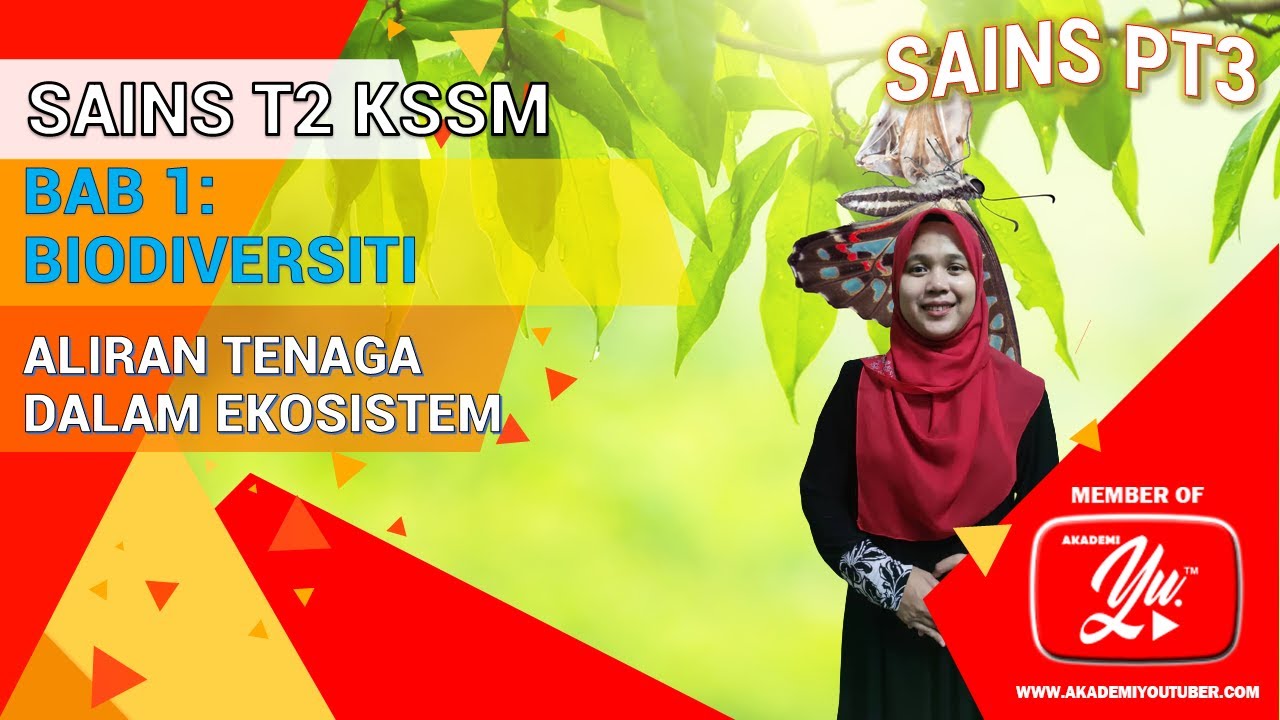 SAINS TINGKATAN 2 BAB 2.1 ALIRAN TENAGA DALAM EKOSISTEM