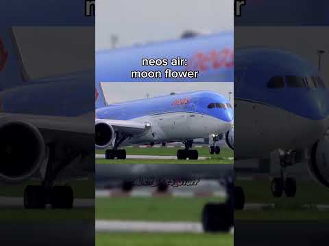 airlines and their callsigns #aviation #plane #avgeeks