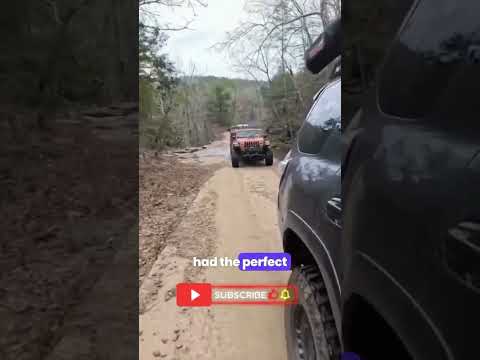 Finding the PERFECT Camping Spot Deep in the Ozark National Forest!