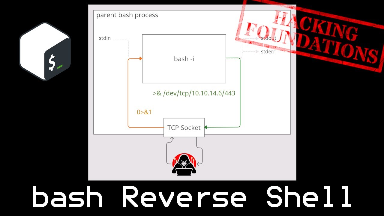 Exploring bash Reverse Shell