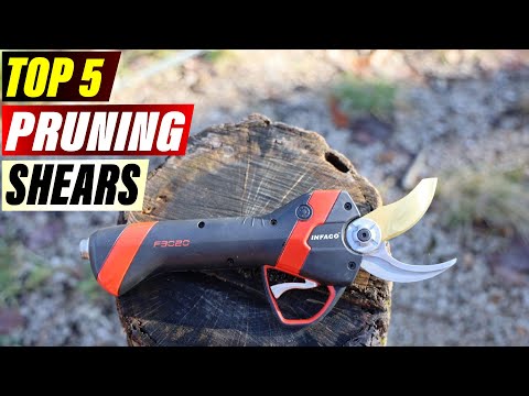 "Best Pruning Shears 2025: Reviews & Comparisons for Gardeners"