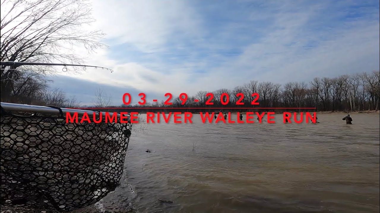 Maumee River Walleye Run 03-29-2022