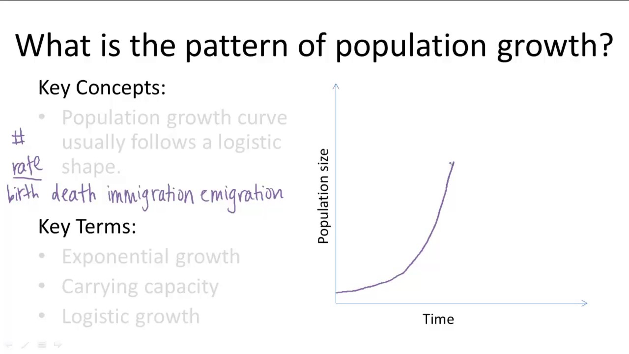 Patterns of Population Growth