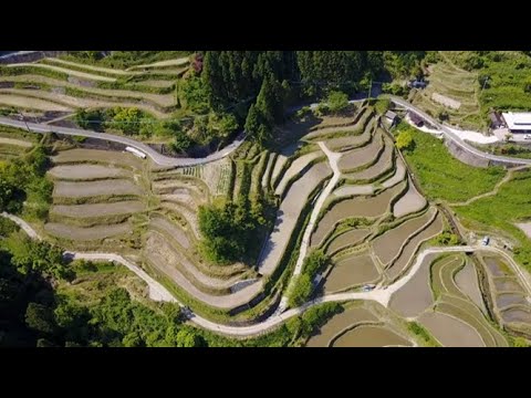 Unspoiled nature, a landscape reminiscent of old Japan | Tokushima