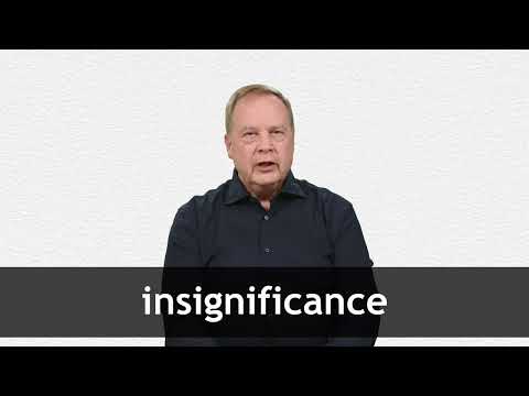 INSIGNIFICANCE definition and meaning | Collins English Dictionary