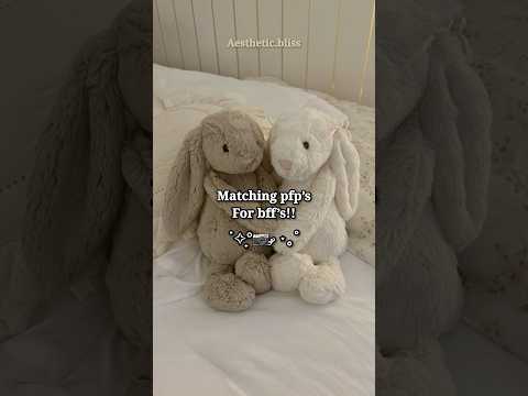 Matching pfp’s for bffs!#aesthetic #sub #bbf #besties #bestfriends #profilepictures #ideas #fypシ゚