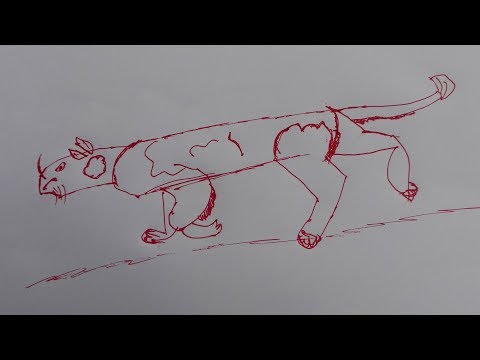 How to draw a Calico- draw a realistic calico cat-draw a realistic cat ...